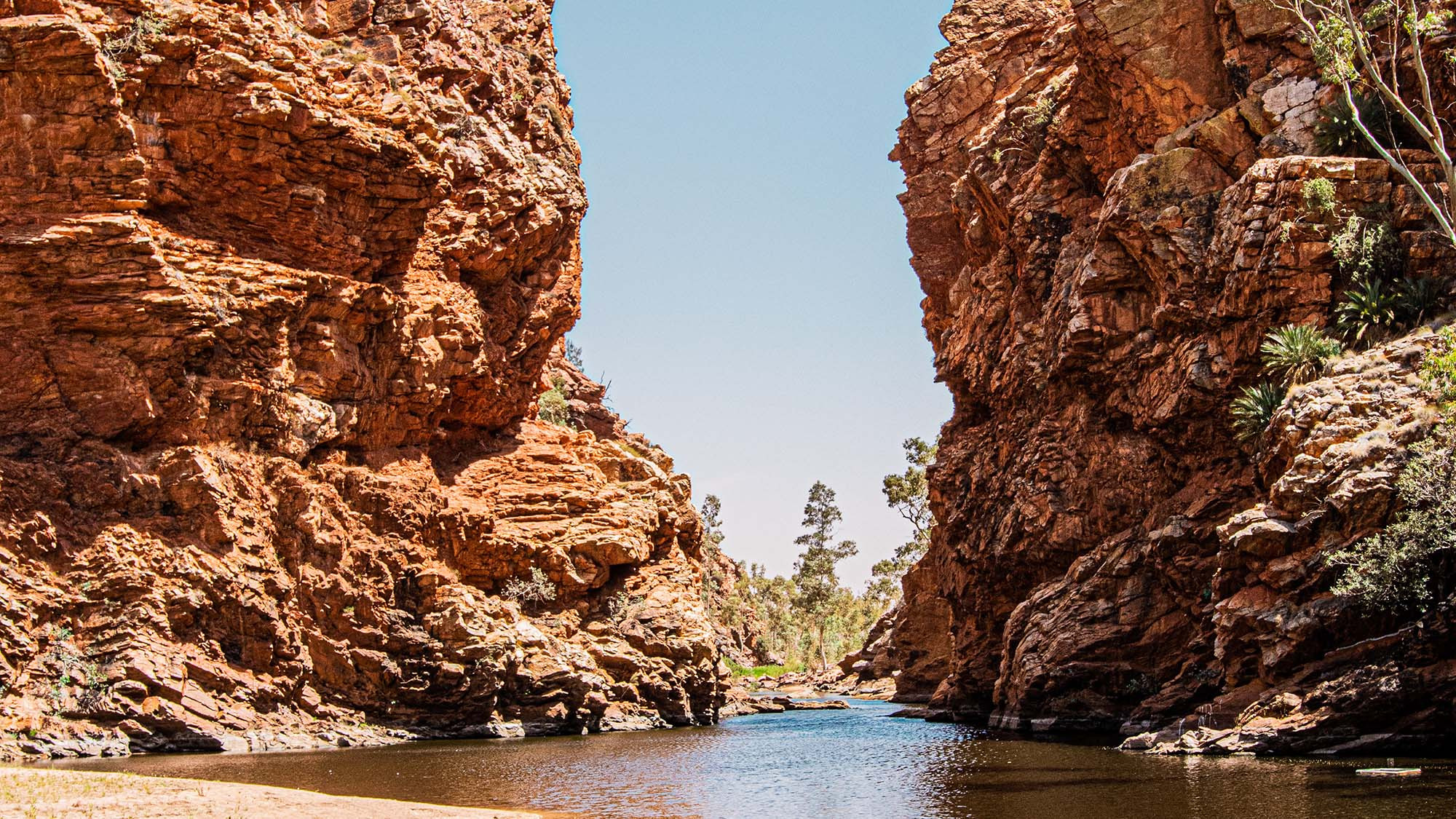 Must Do Experiences from Alice Springs to Kings Canyon | NT Now ...
