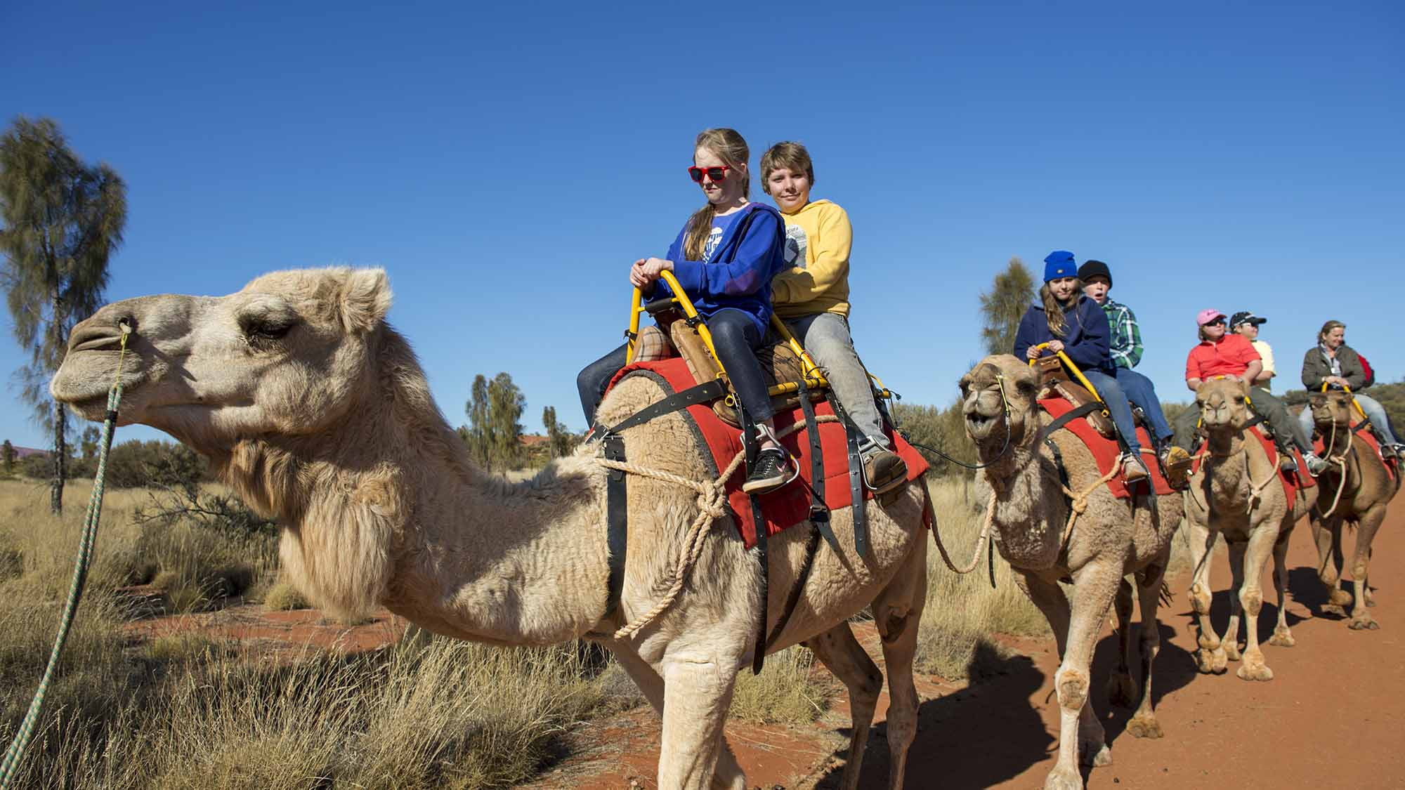 The Best NT animal experiences | NT Now - Cracking Good Deals to the NT