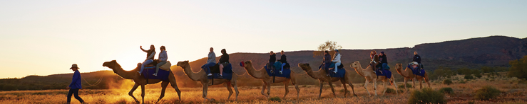 Inspiration | NT Now - Cracking Good Deals to the NT